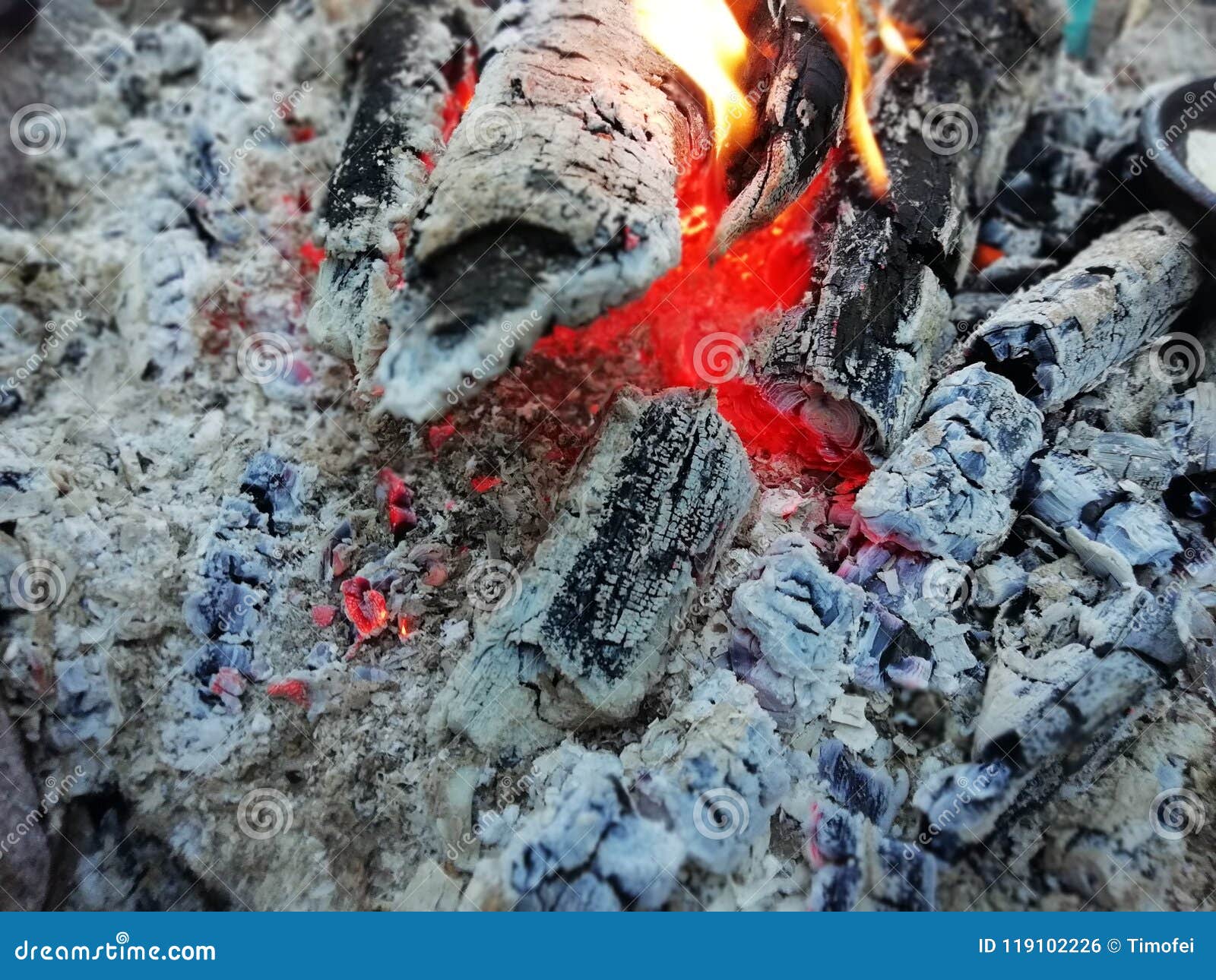 Fire stock photo. Image of bonfire, coal, firewood, fire - 119102226
