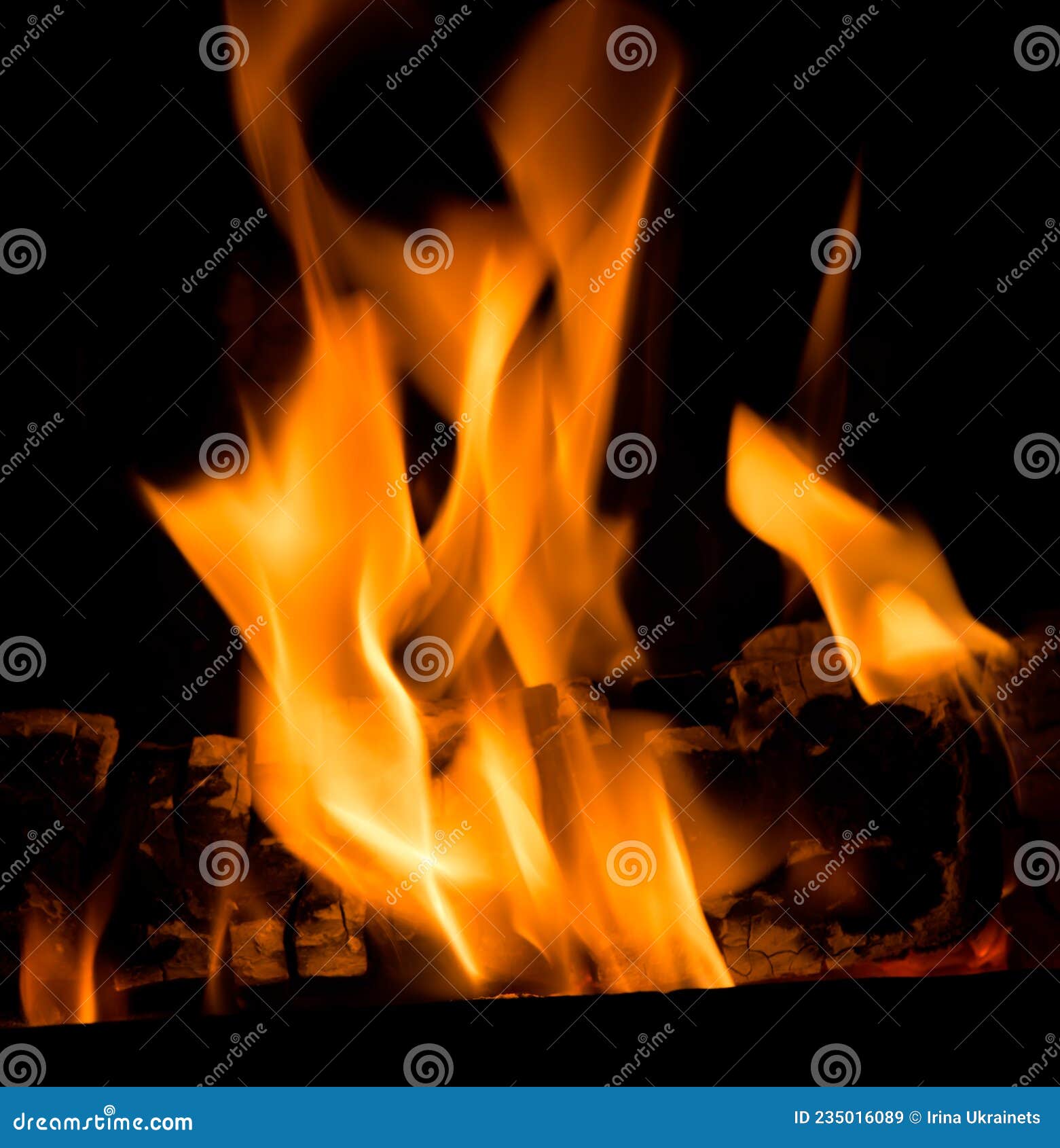 Fire , Bonfire , Flames on the Black Background. Stock Image - Image of ...