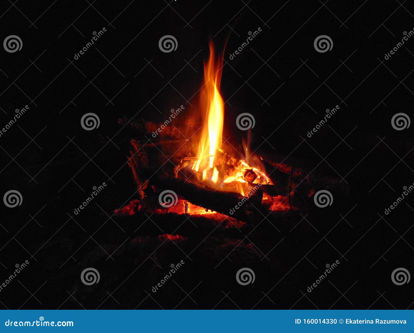 The Fire of the Bonfire Looks Very Bright at Night. Stock Photo - Image ...