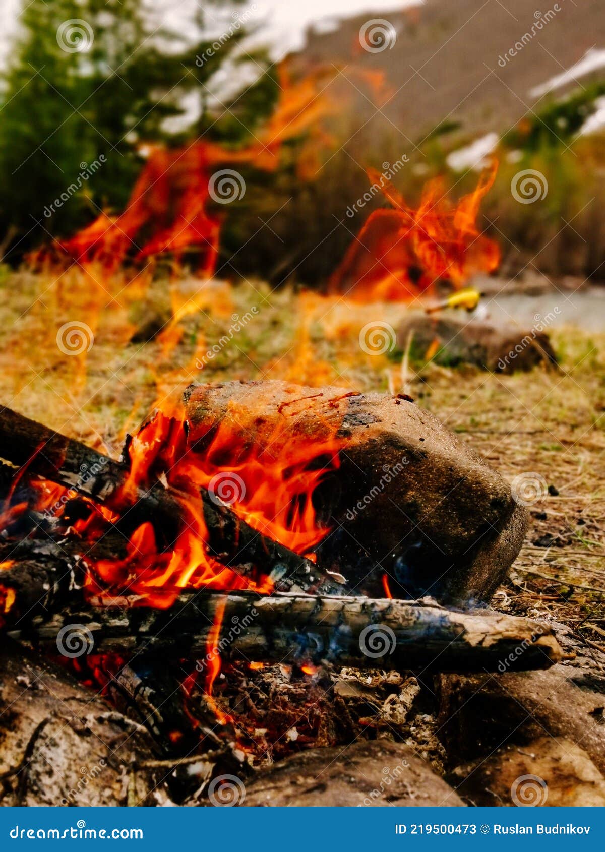 The Fire Bonfire by the River Nature Forest Stock Image - Image of ...