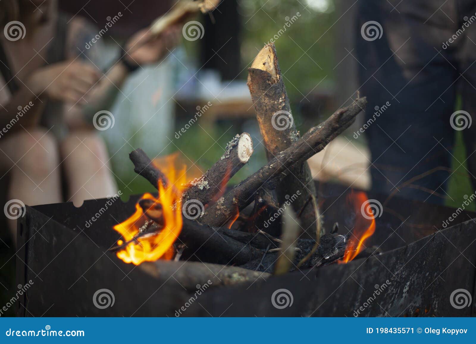 Fire from a Bonfire. the Tree is Burning Stock Image - Image of comfort ...