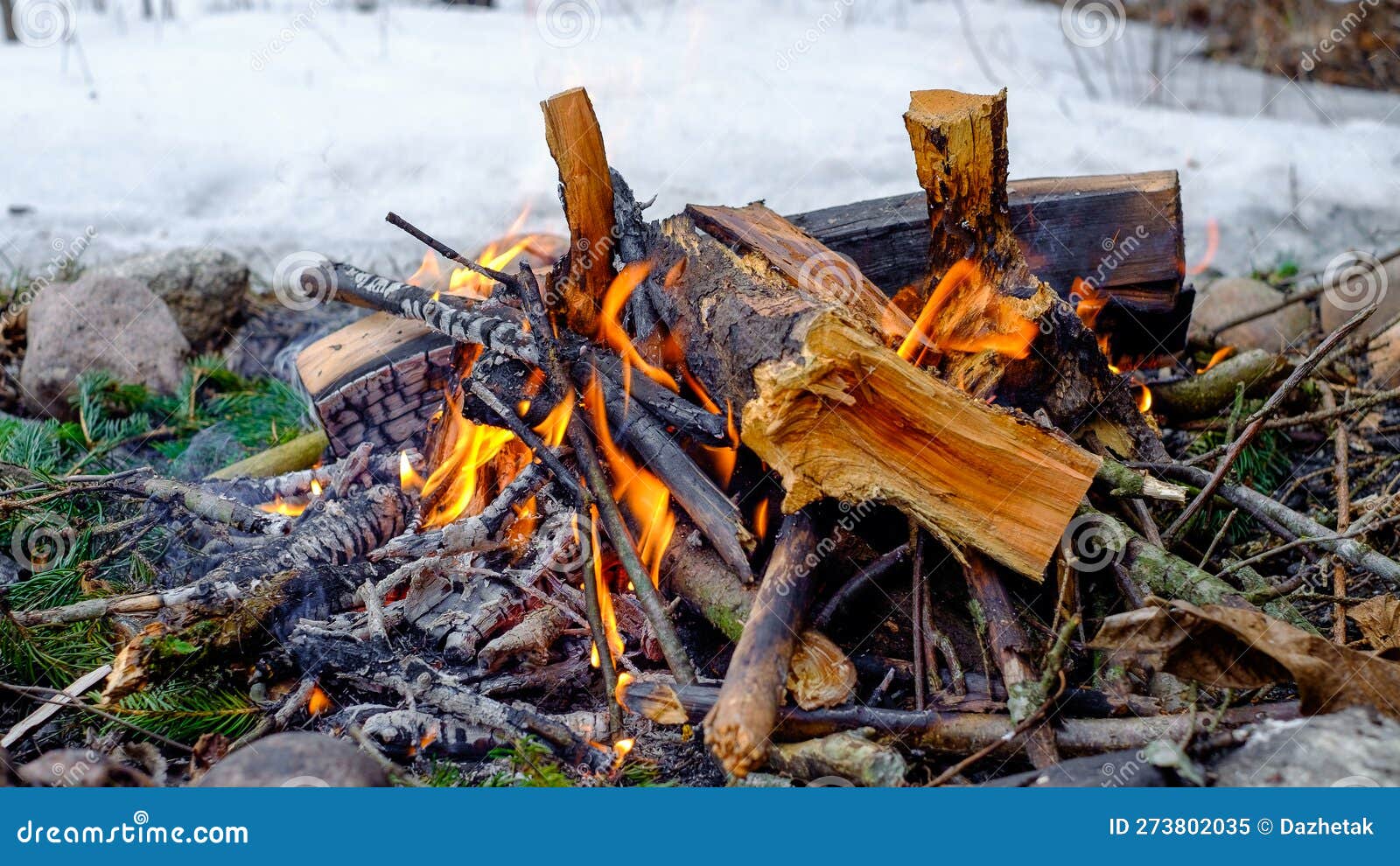 Fire Bonfire Winter Woods Firewood Flames Stock Image - Image of warm ...