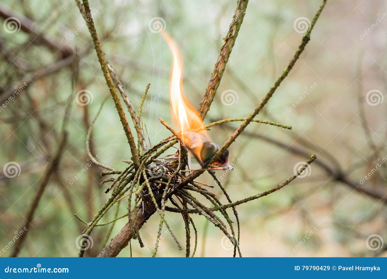 Fire on a branch stock image. Image of burning, branches - 79790429