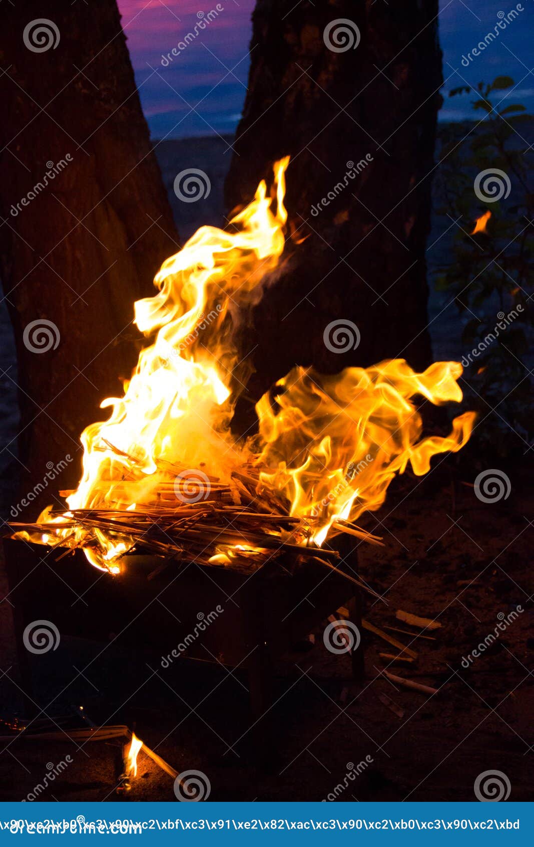 Fire in the Brazier on a Dark Night Stock Photo - Image of dark, coal ...