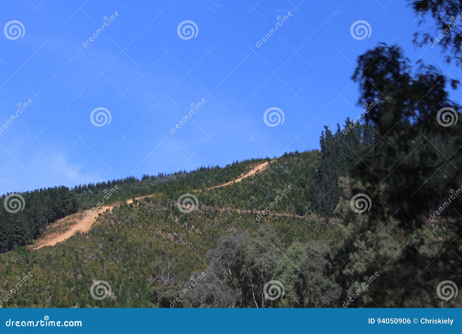 Fire Break stock photo. Image of bushfire, wheel, lake - 94050906