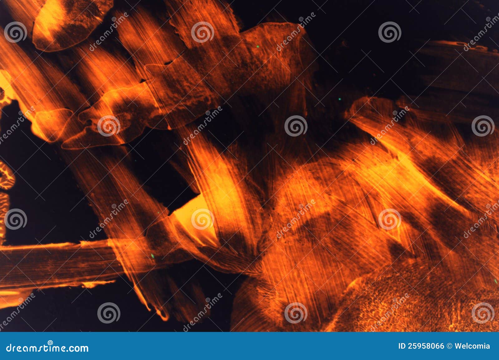 Fire Brush stock photo. Image of paint, brushed, grungy - 25958066