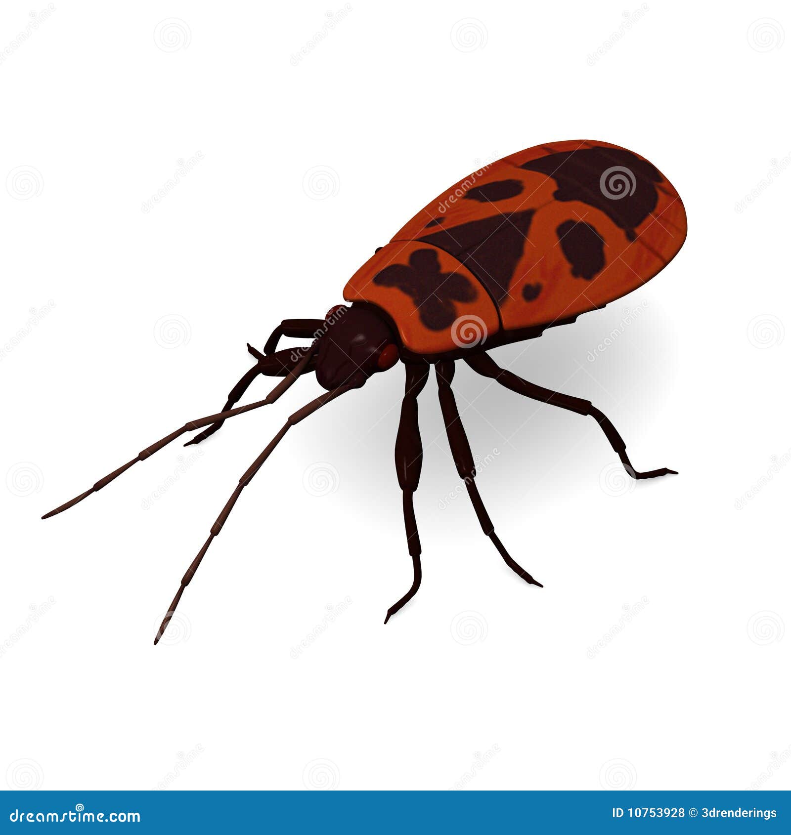 Fire bug stock illustration. Illustration of creapy, crawl - 10753928