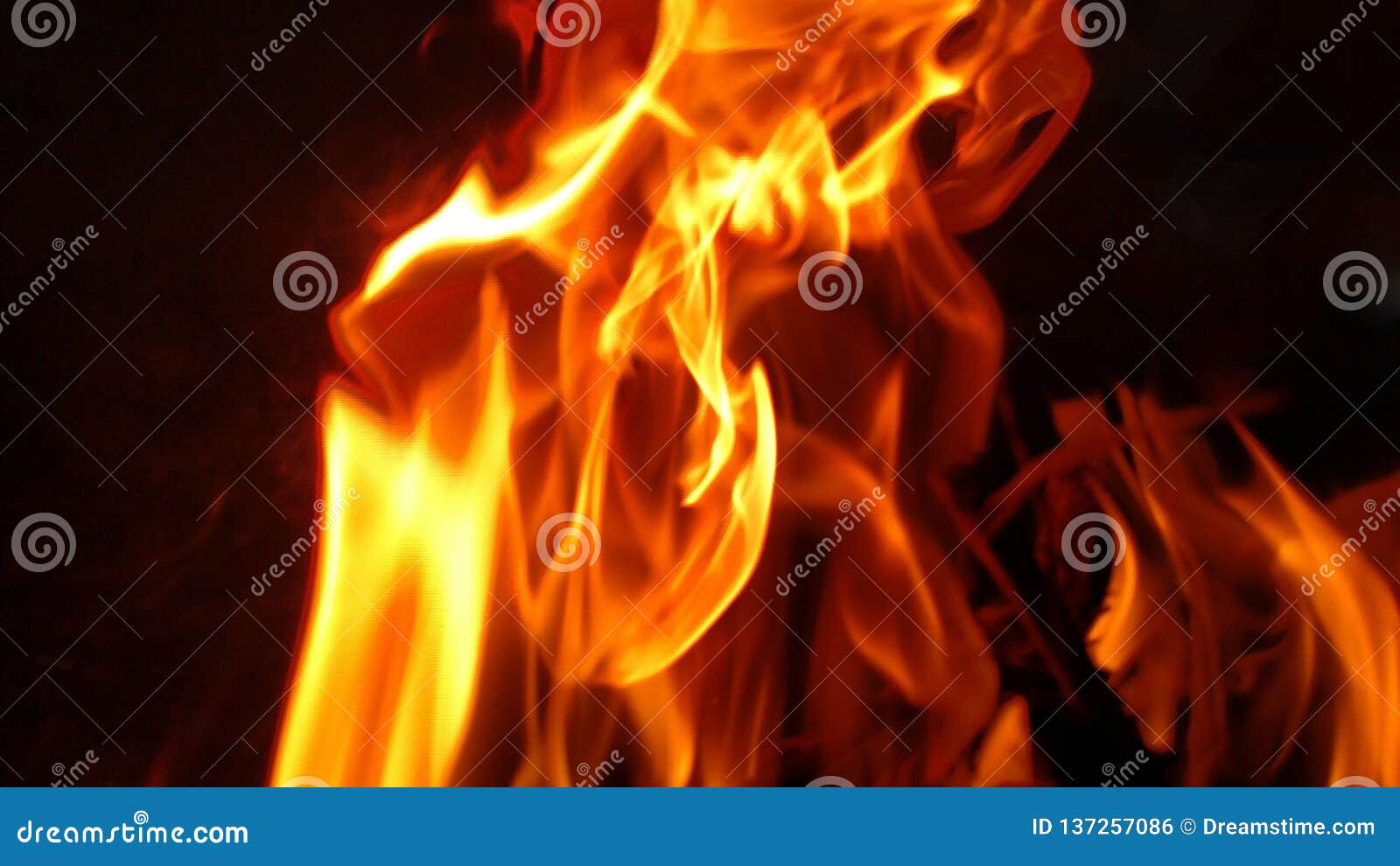Fire Burn stock photo. Image of beauty, sunsight, beautiful - 137257086