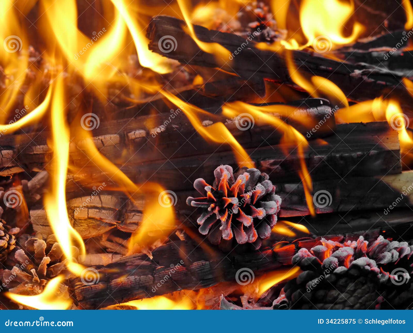 Fire burning ash stock image. Image of fire, glow, fossil - 34225875