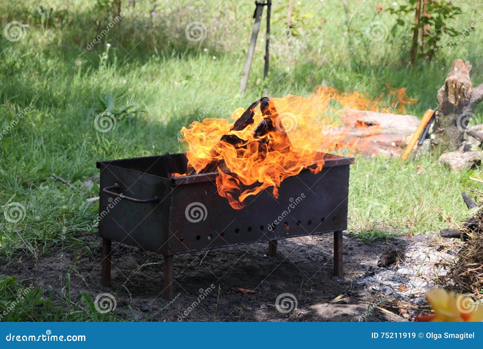 Fire Burning Birch Wood in a Brazier Stock Image - Image of metal ...