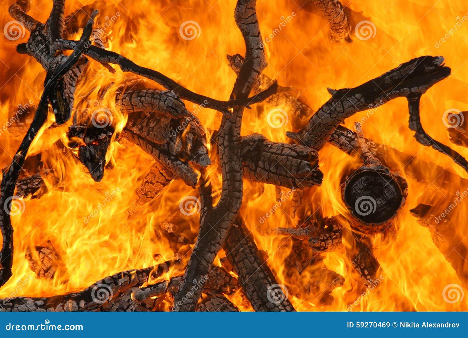 Fire. Burning branches stock image. Image of warmth, firewood - 59270469
