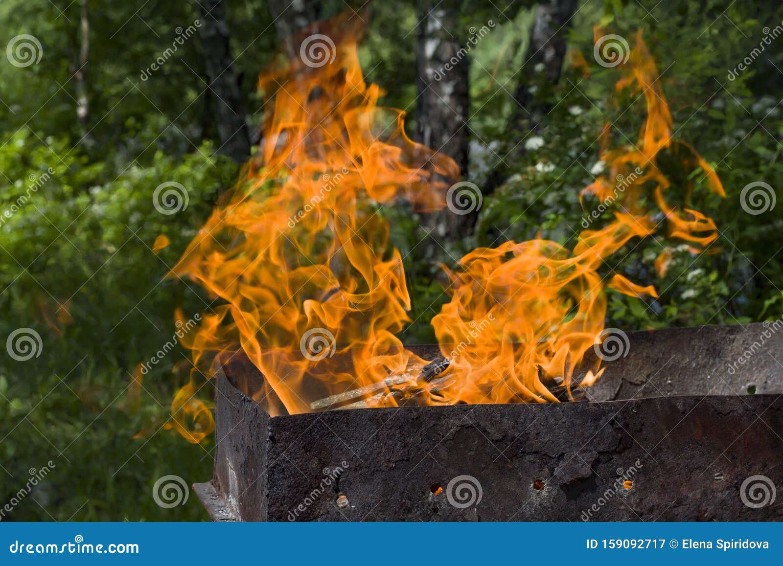 Fire Burning Bright Flame on a Dark Background Stock Image - Image of ...