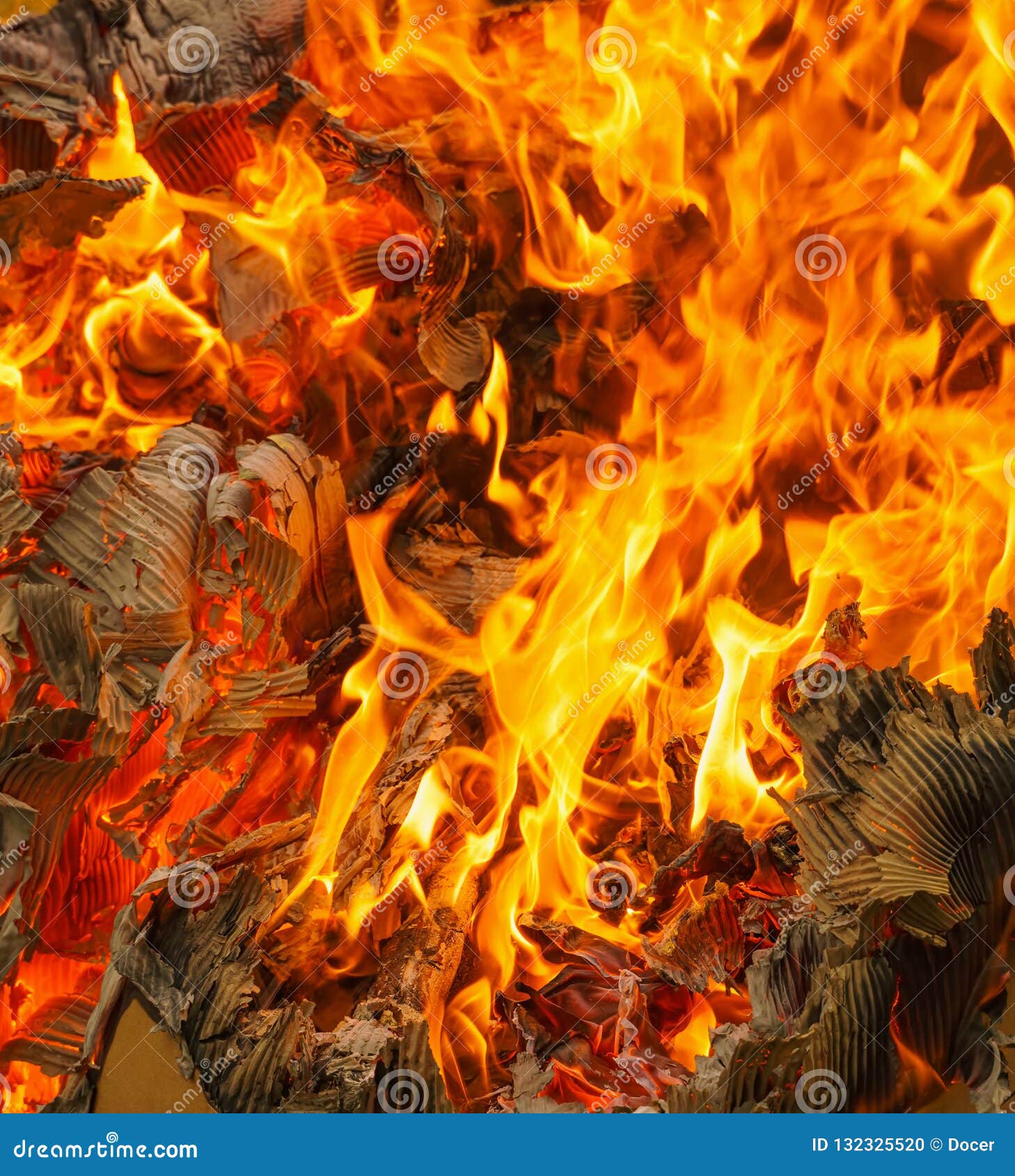Fire of Burning Carton Paper Stock Photo - Image of bonfire, closeup ...