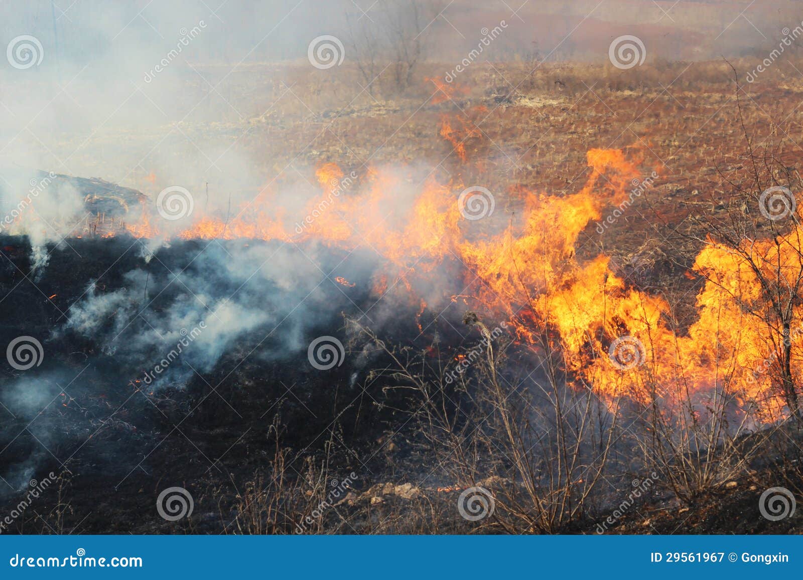 Fire burning on farmland stock image. Image of thermal - 29561967