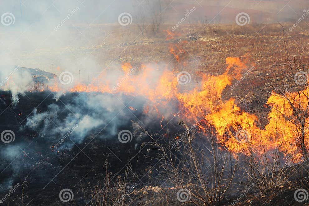 Fire burning on farmland stock image. Image of thermal - 29561967