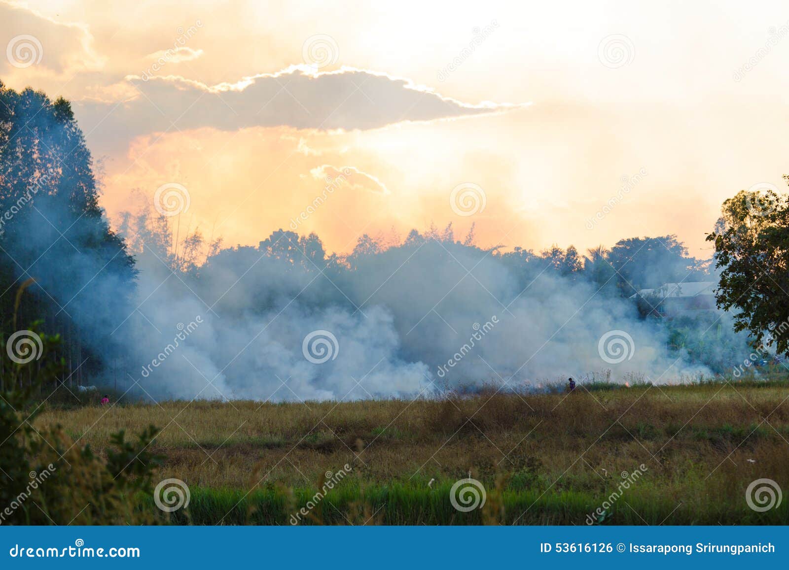 Fire burning field stock photo. Image of effect, outdoor - 53616126