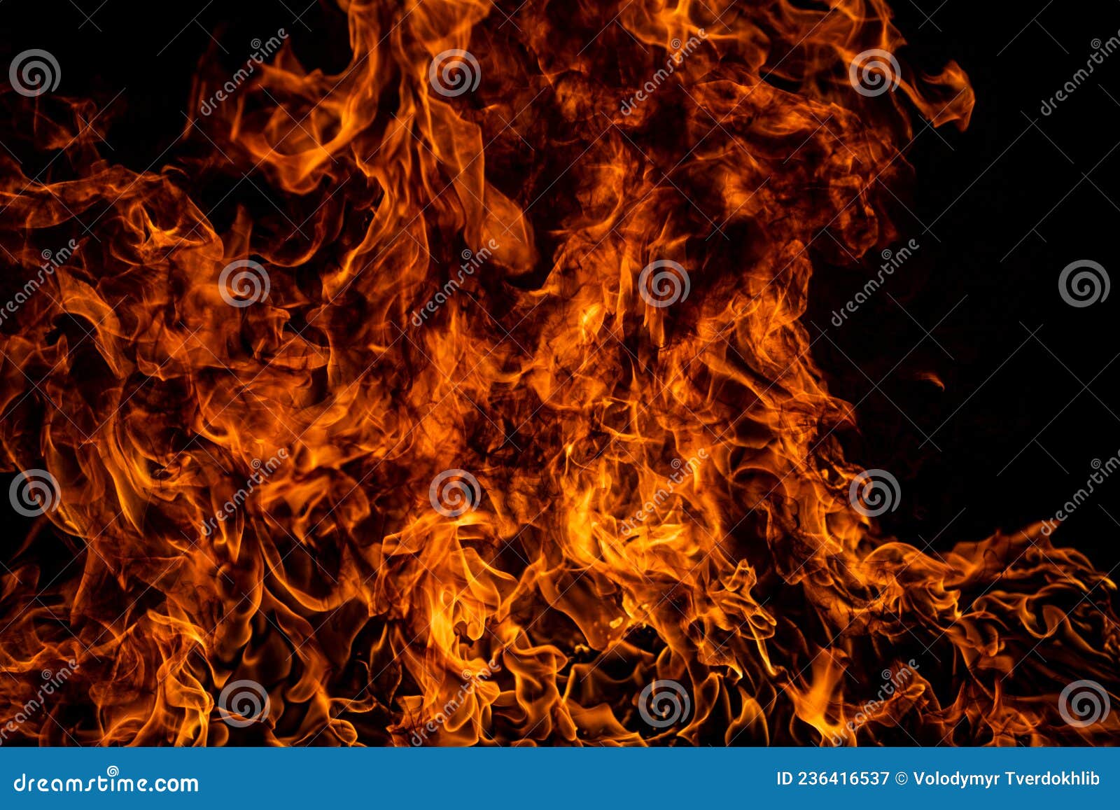 The Fire, Burning Flame. Large Burning Flaming Fire. Stock Image ...