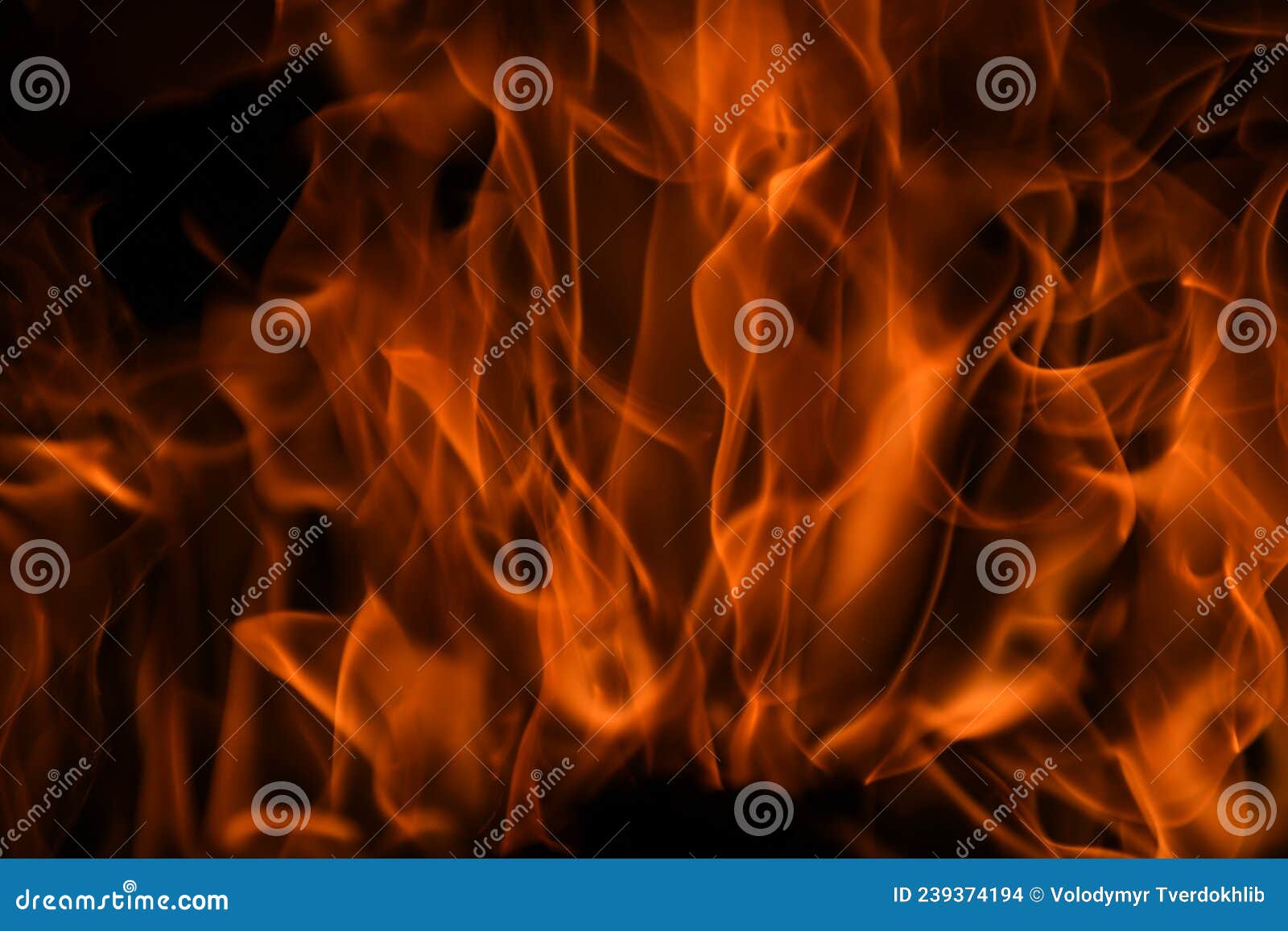 The Fire, Burning Flame. Large Burning Flaming Fire. Stock Photo ...