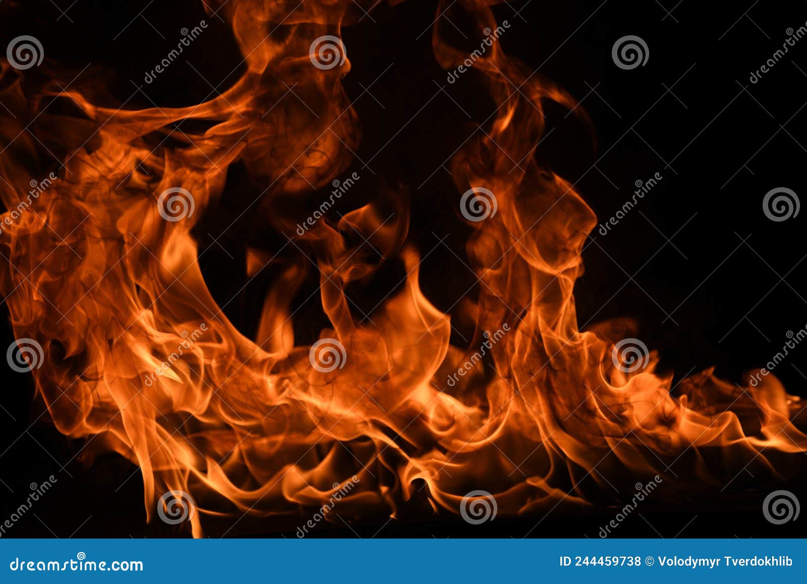 The Fire, Burning Flame. Large Burning Flaming Fire. Stock Photo ...