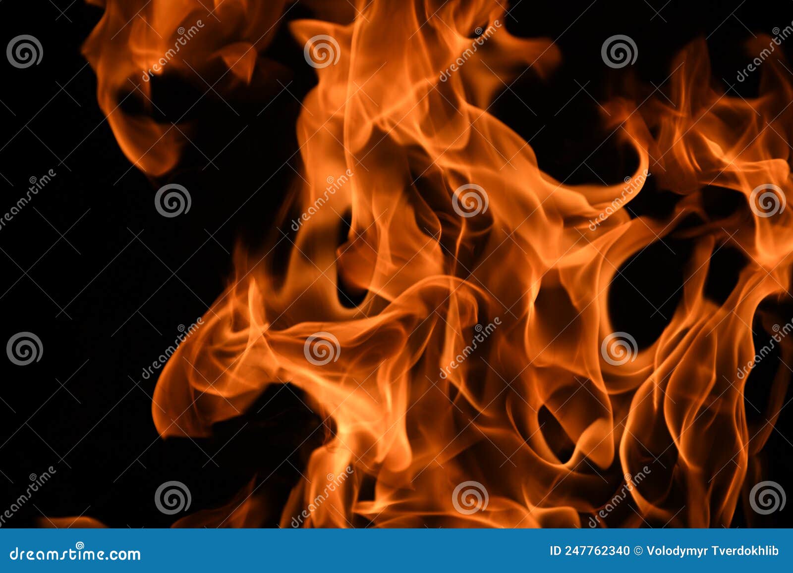 The Fire, Burning Flame. Large Burning Flaming Fire. Stock Photo ...