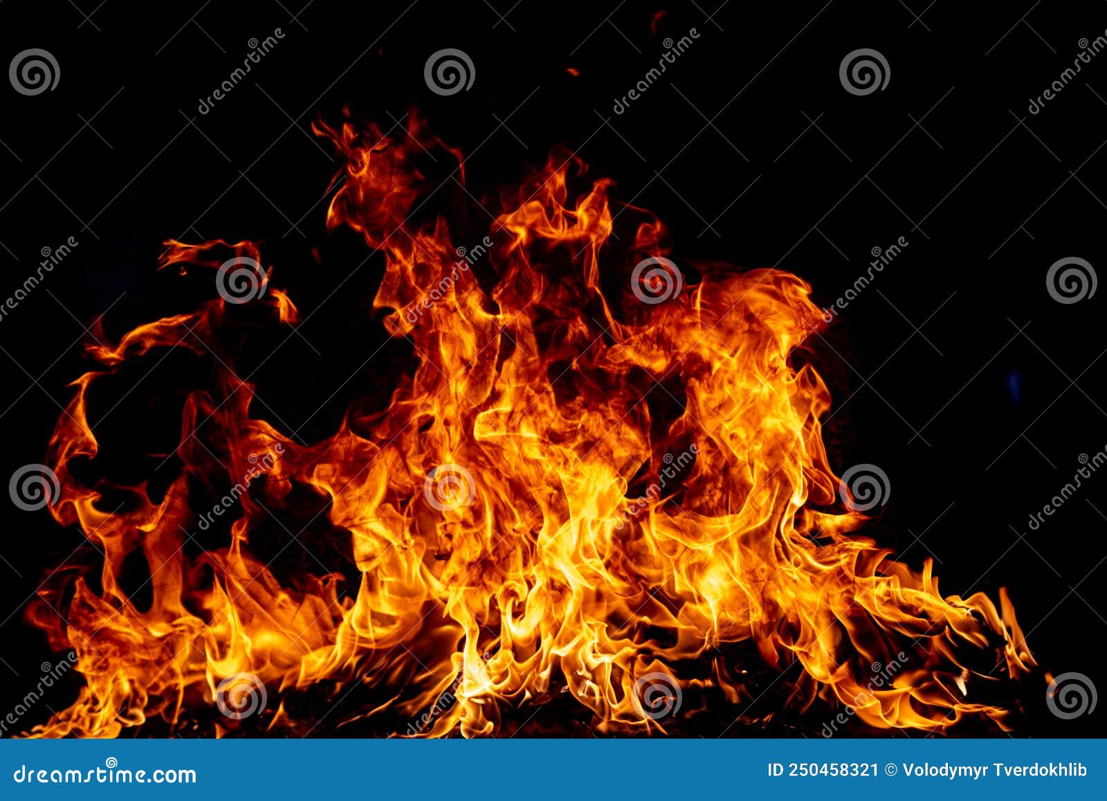 The Fire, Burning Flame. Large Burning Flaming Fire. Stock Image ...