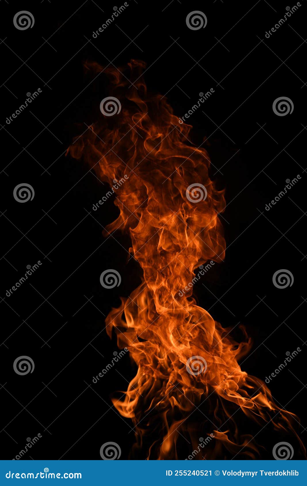 The Fire, Burning Flame. Large Burning Flaming Fire. Stock Image ...