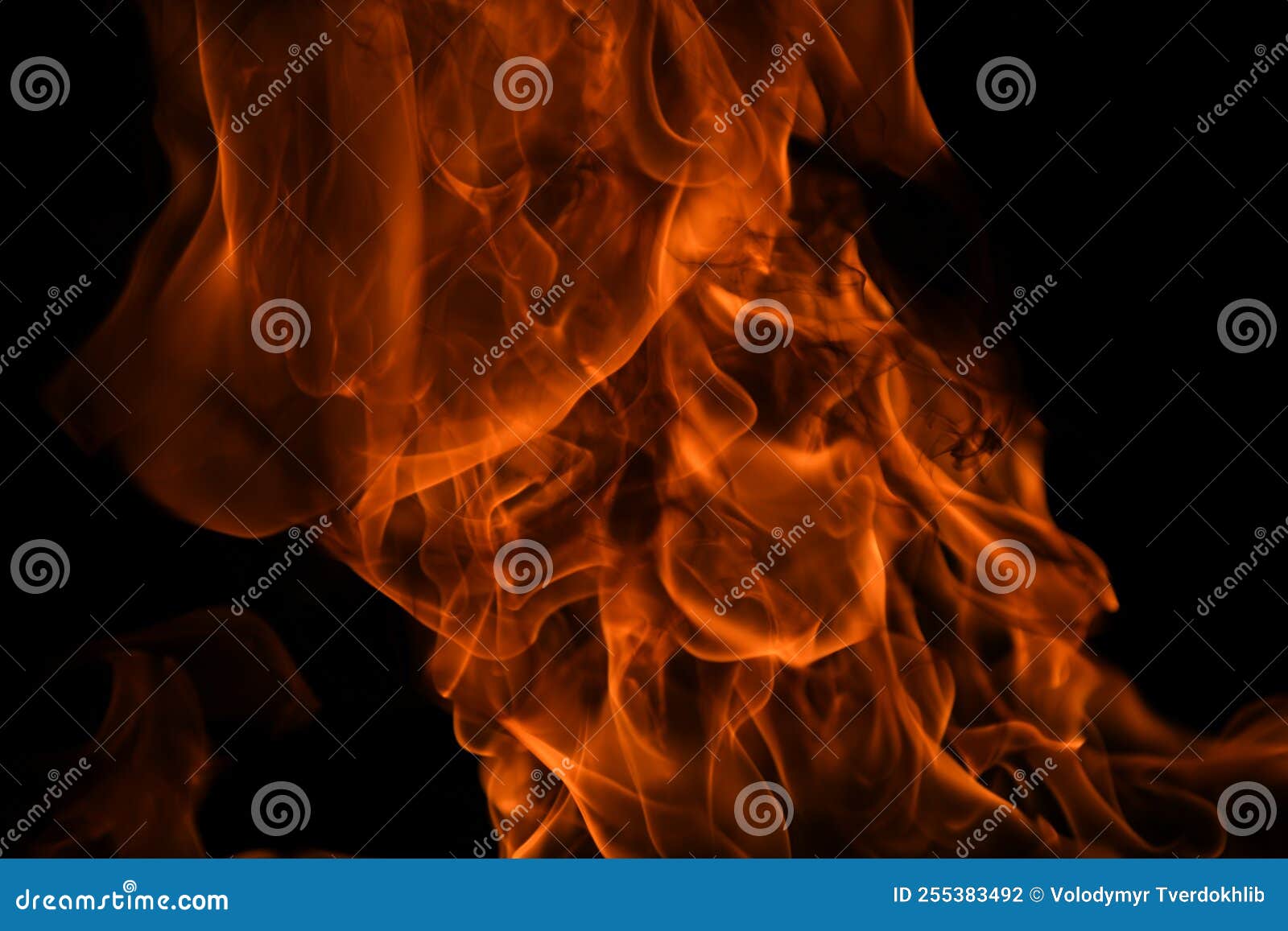 The Fire, Burning Flame. Large Burning Flaming Fire. Stock Photo ...