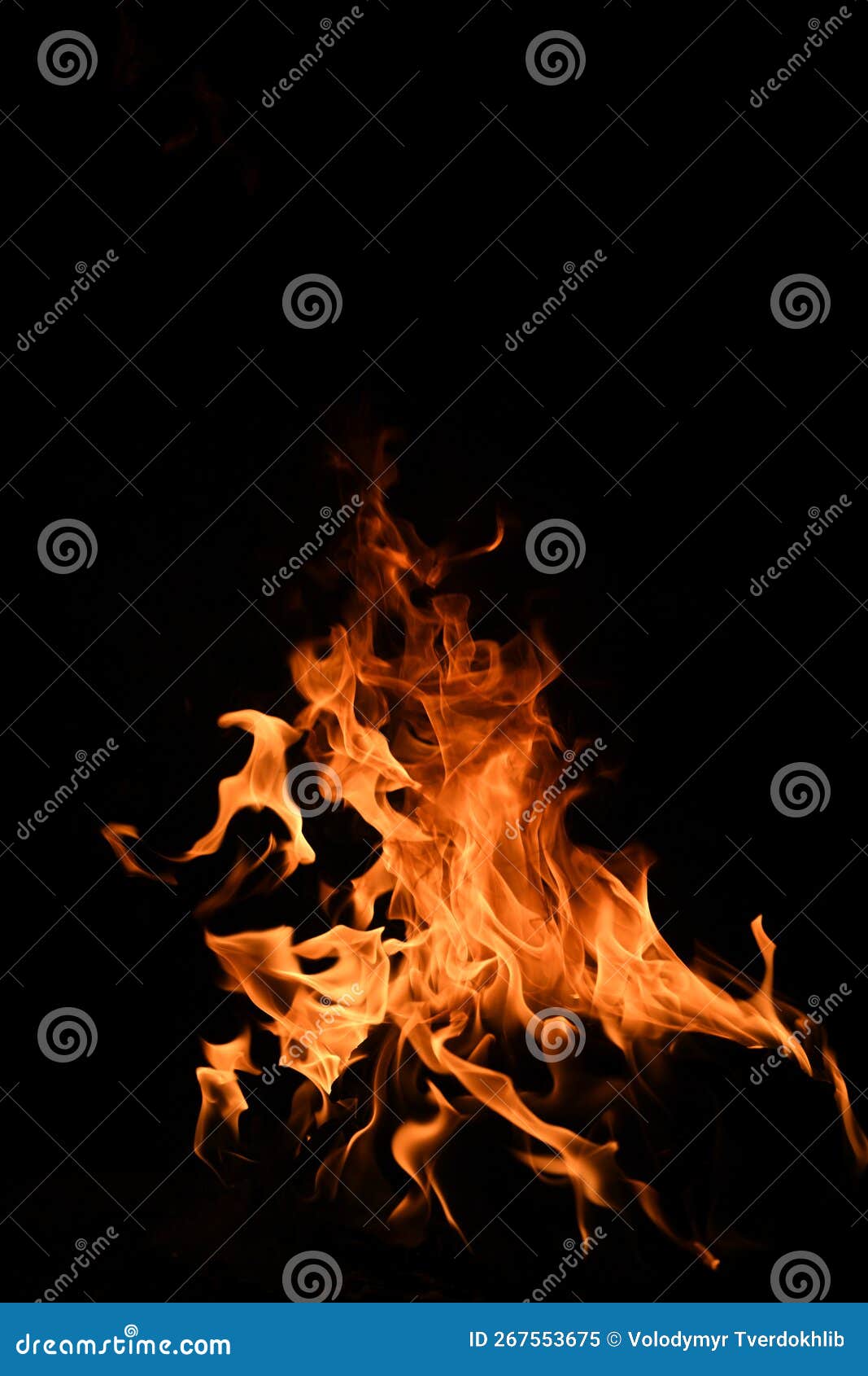 The Fire, Burning Flame. Large Burning Flaming Fire. Stock Image ...