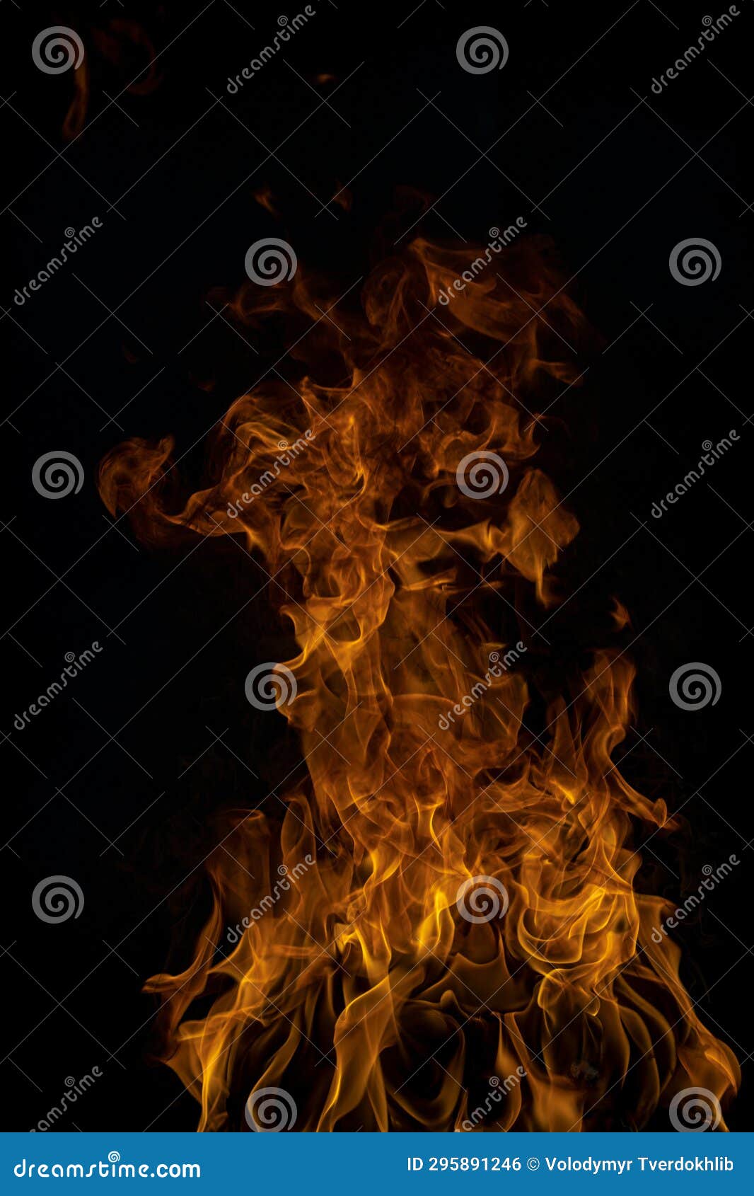 The Fire, Burning Flame. Large Burning Flaming Fire. Stock Photo ...
