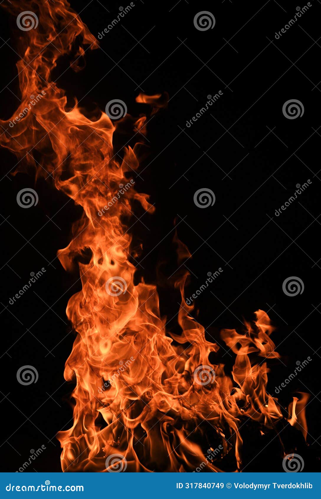 The Fire, Burning Flame. Large Burning Flaming Fire. Stock Image ...
