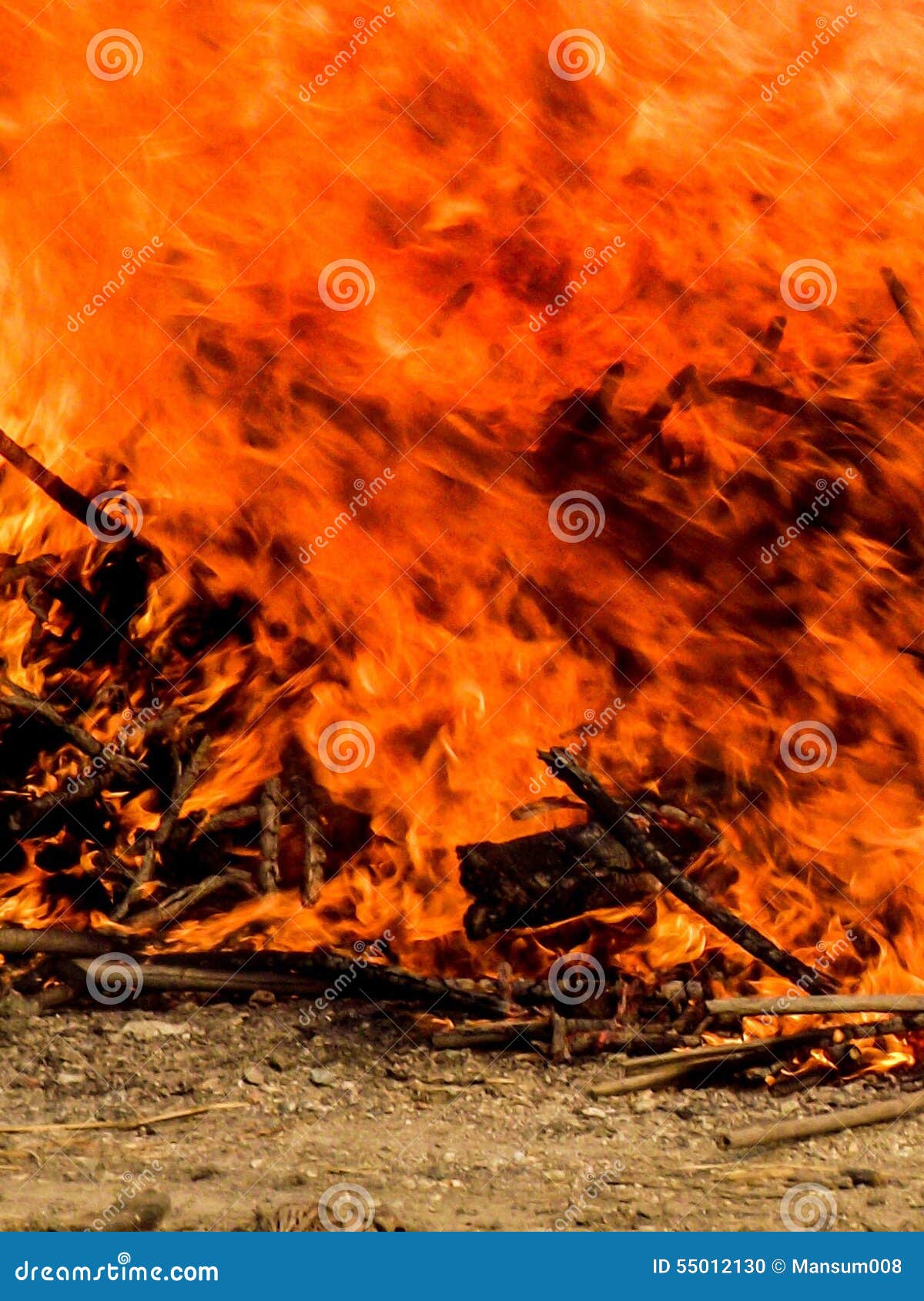 Fire burning stock photo. Image of burn, blaze, fire - 55012130