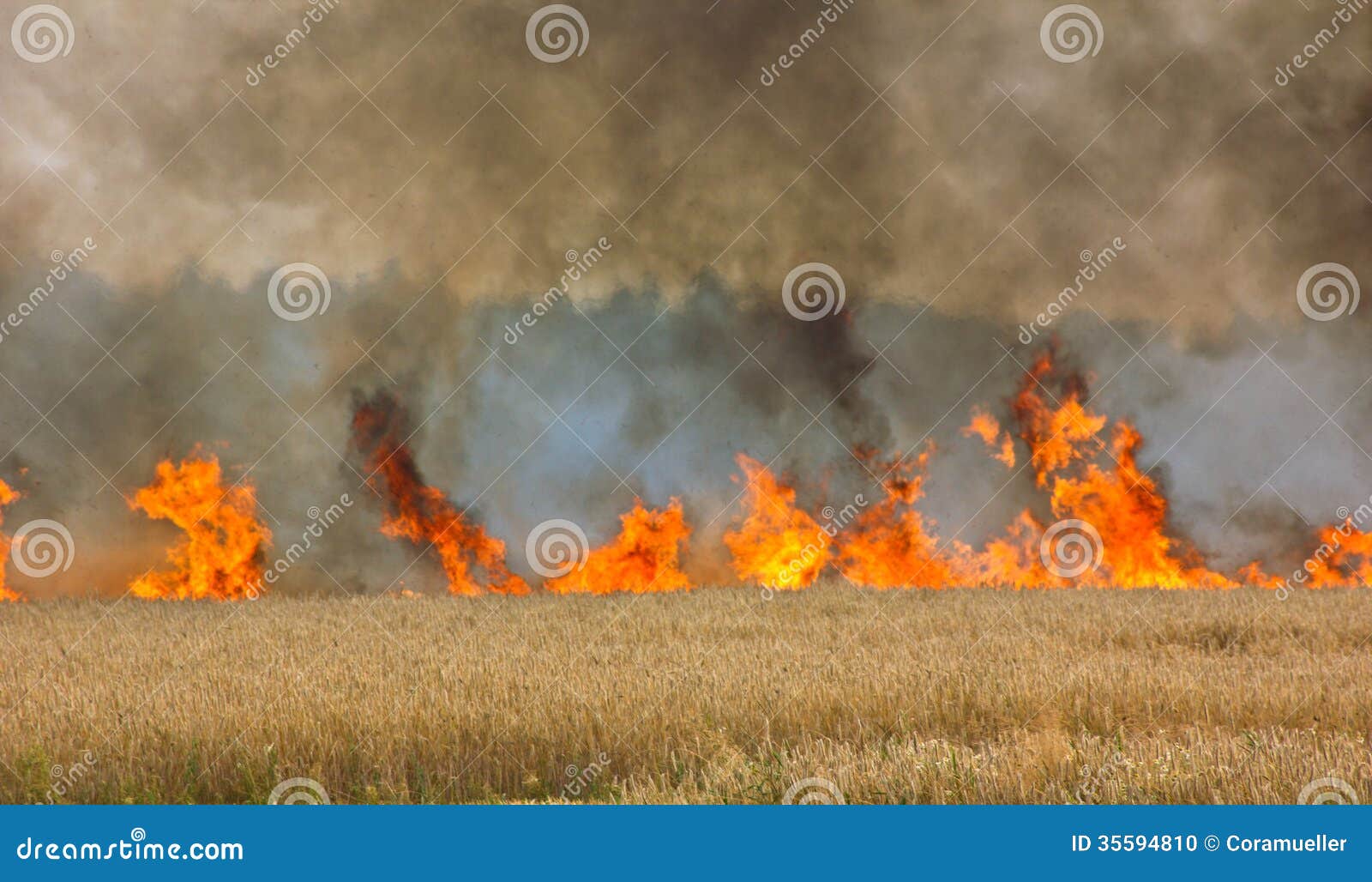 Fire stock photo. Image of yellow, green, flame, dangerous - 35594810