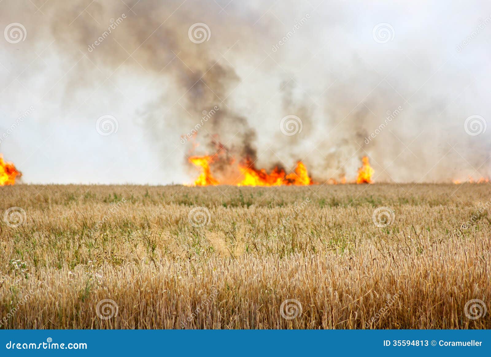 Fire stock image. Image of smoke, burn, green, danger - 35594813