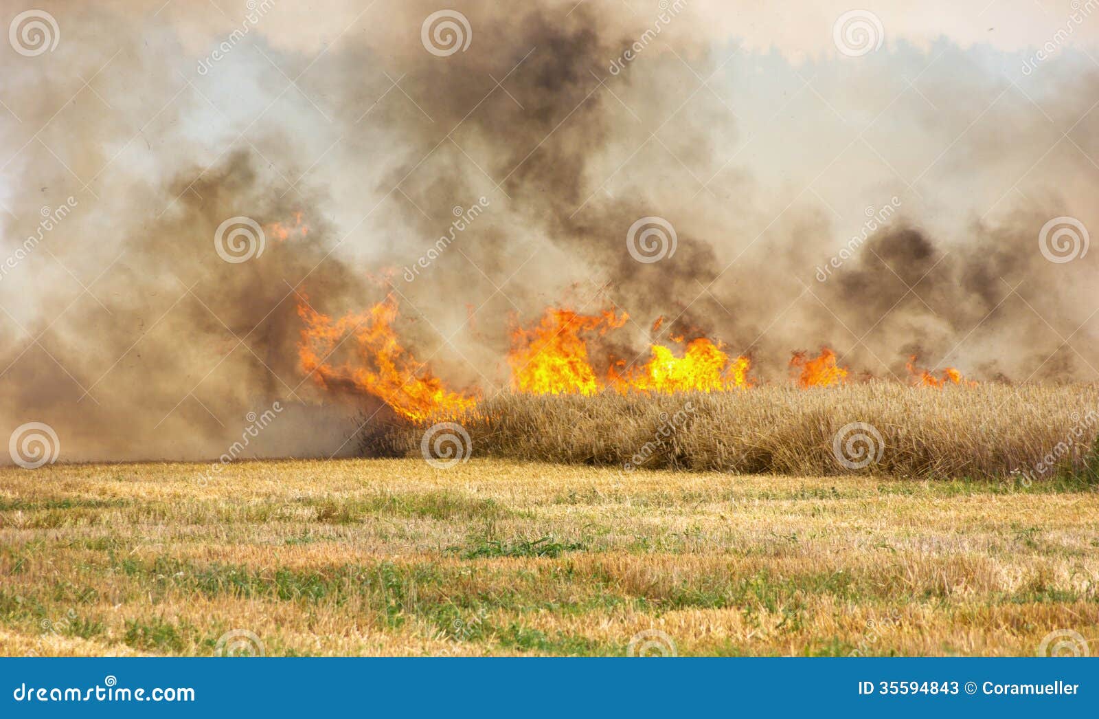 Fire stock image. Image of cornfield, smoke, flame, summer - 35594843
