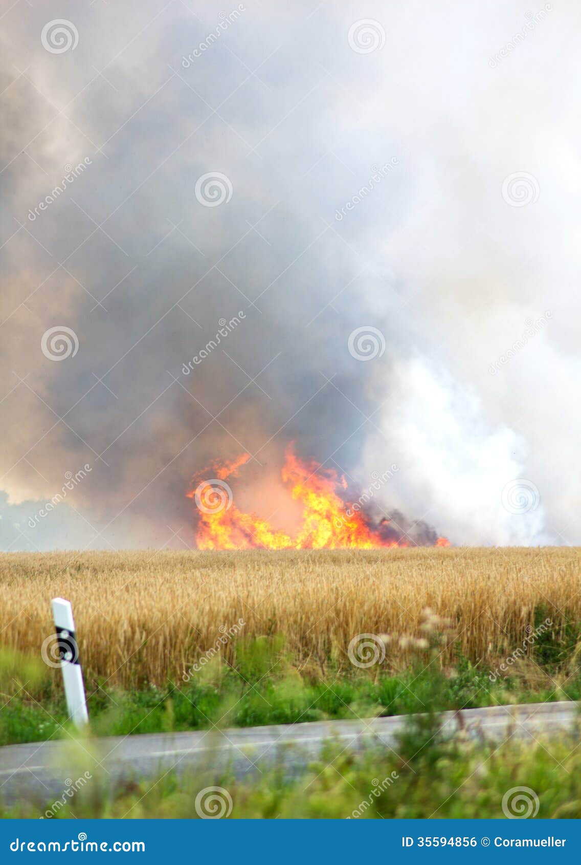 Fire stock photo. Image of burn, grass, grain, smoke - 35594856