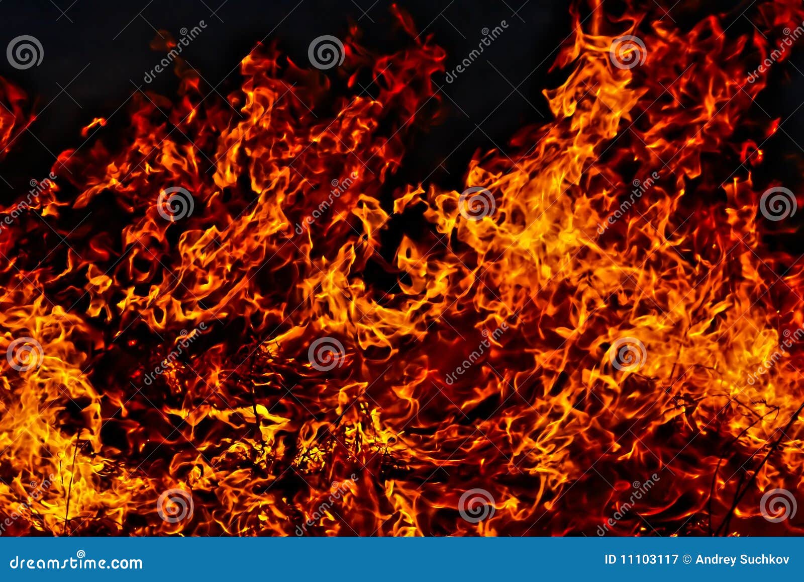 Fire. Burning Grass in Spring Stock Image - Image of destruction ...