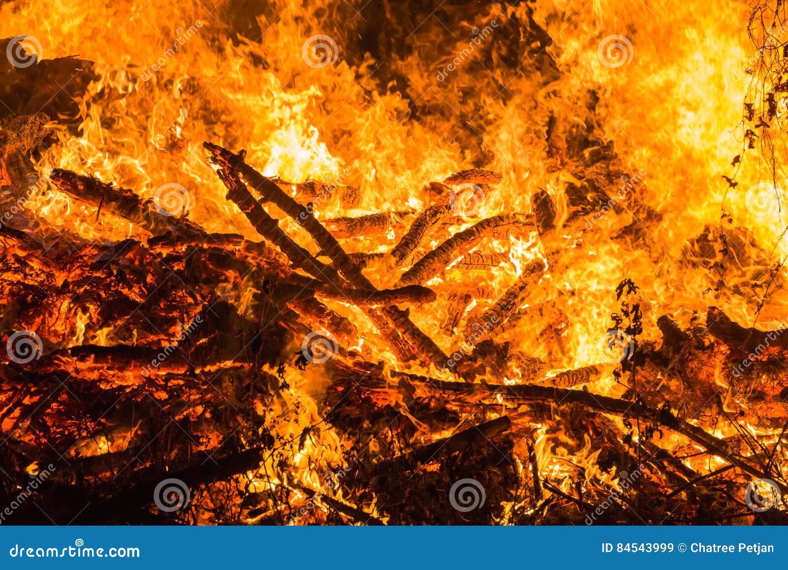 Fire, Burning Grass and Trees. Stock Image - Image of emergency, detail ...