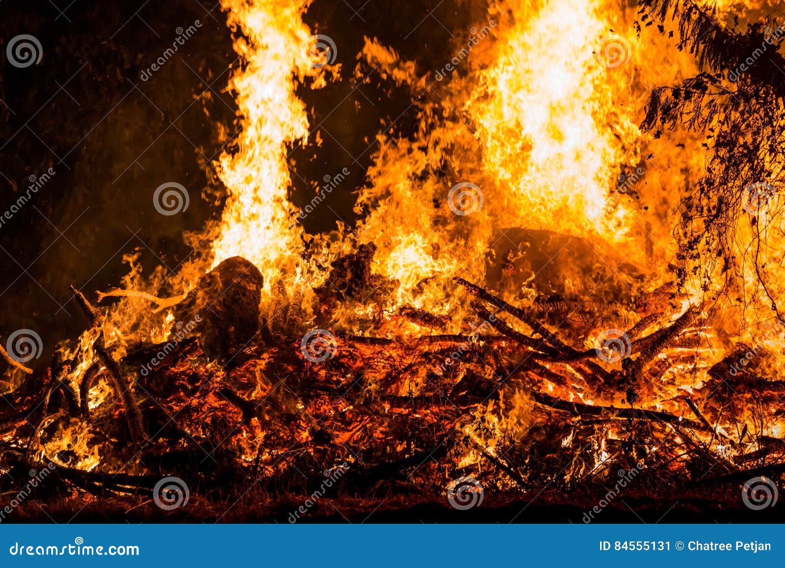 Fire, Burning Grass and Trees. Stock Image - Image of fuel, glow: 84555131