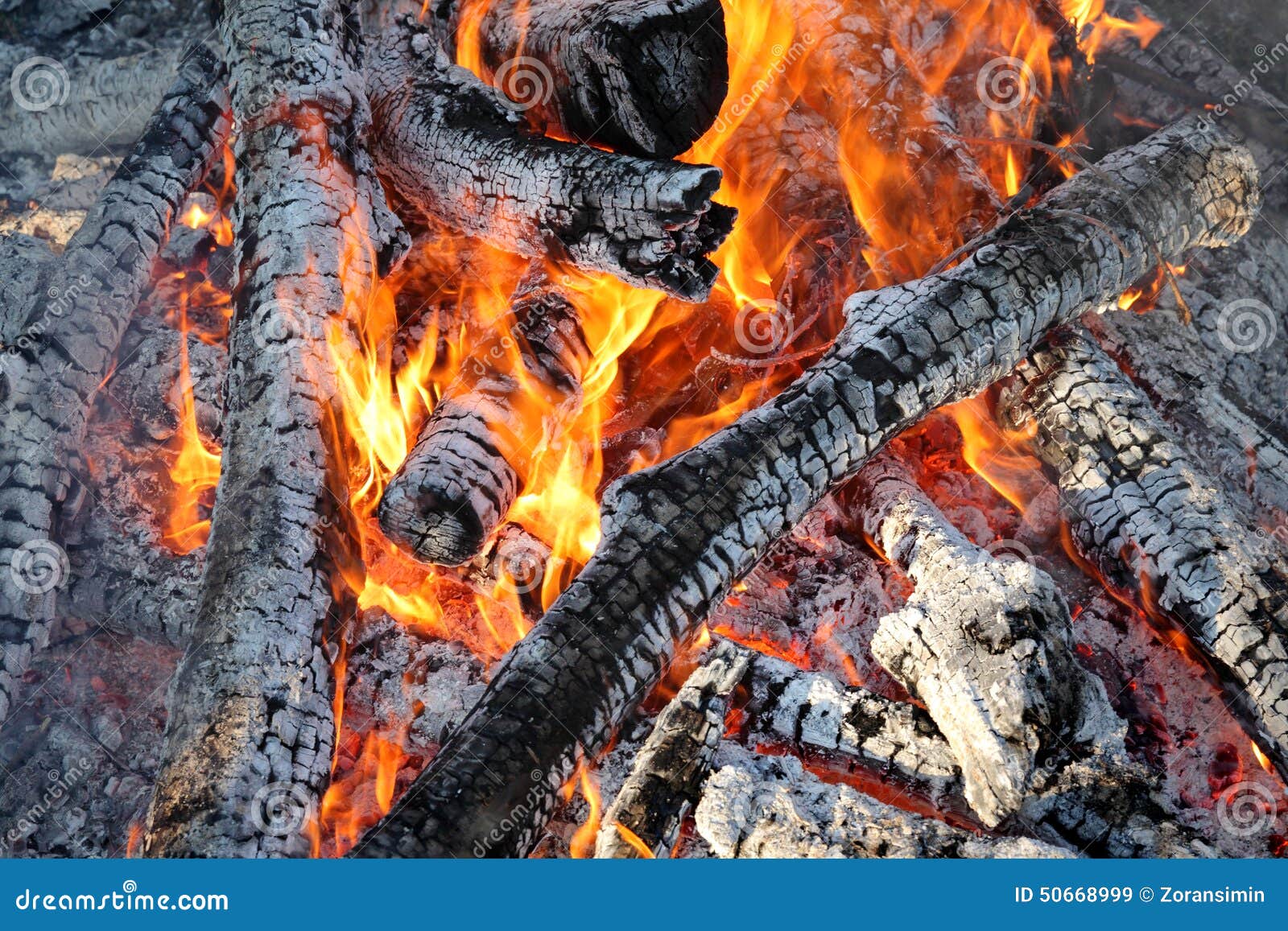 Fire, burning logs stock image. Image of color, bonfire - 50668999