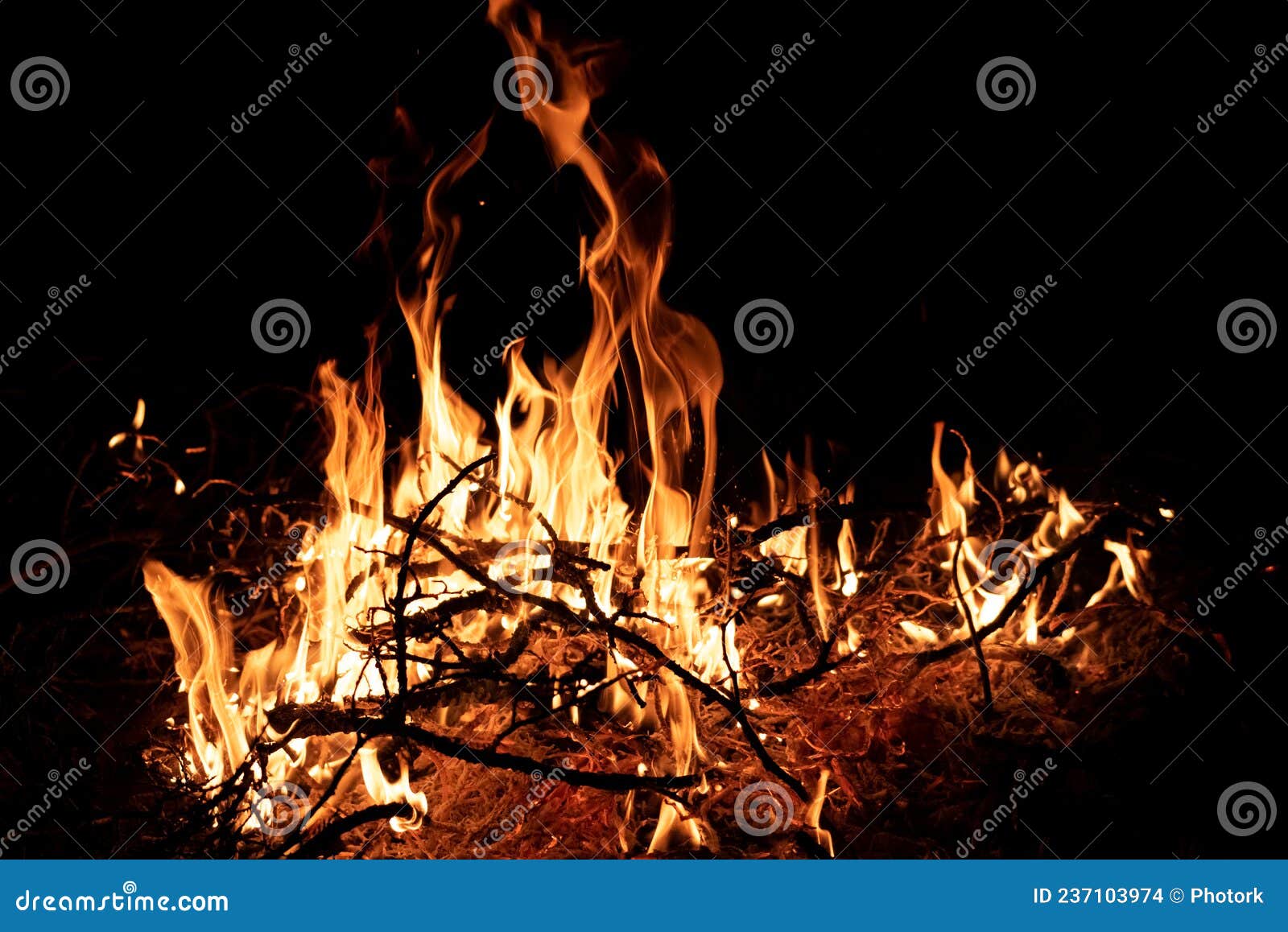 A Fire is Burning at Night. Fine Branches on Fire Stock Photo - Image ...