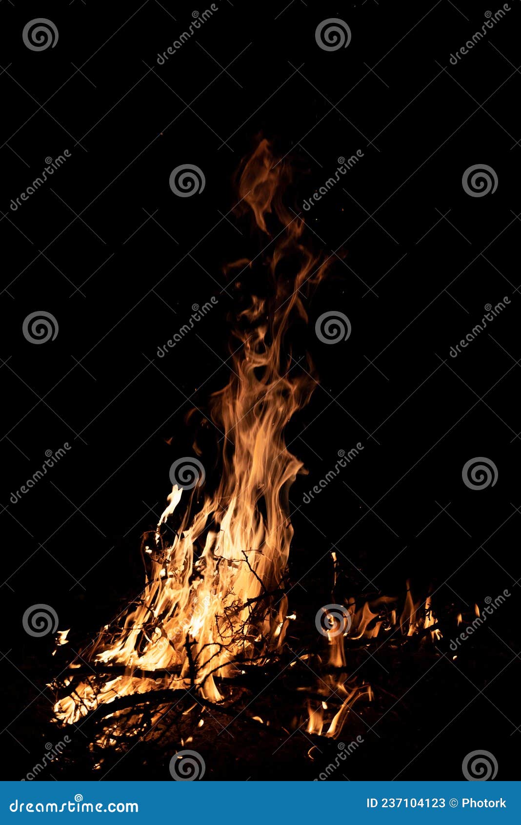 A Fire is Burning at Night. Fine Branches on Fire Stock Image - Image ...