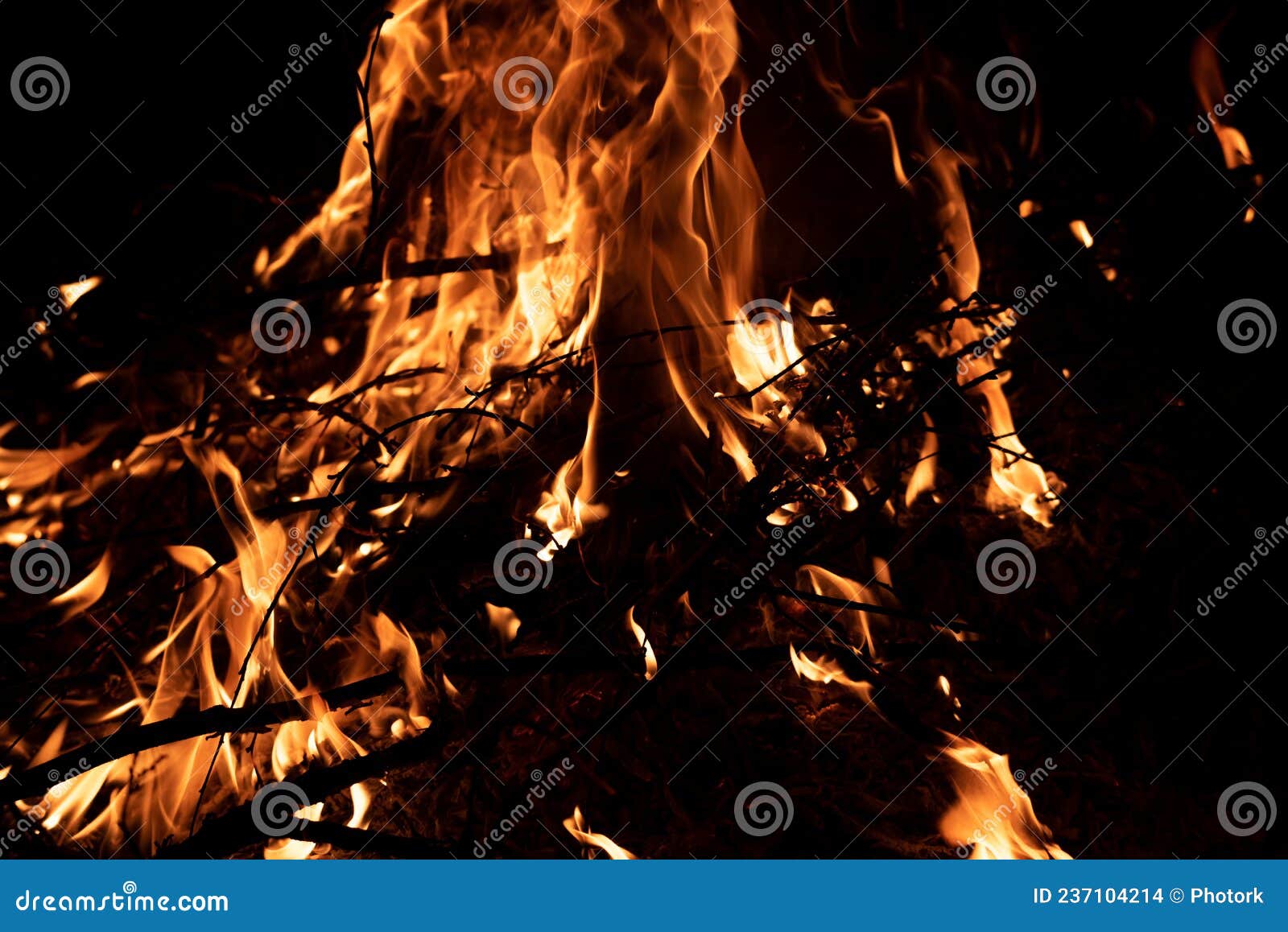 A Fire is Burning at Night. Fine Branches on Fire Stock Photo - Image ...