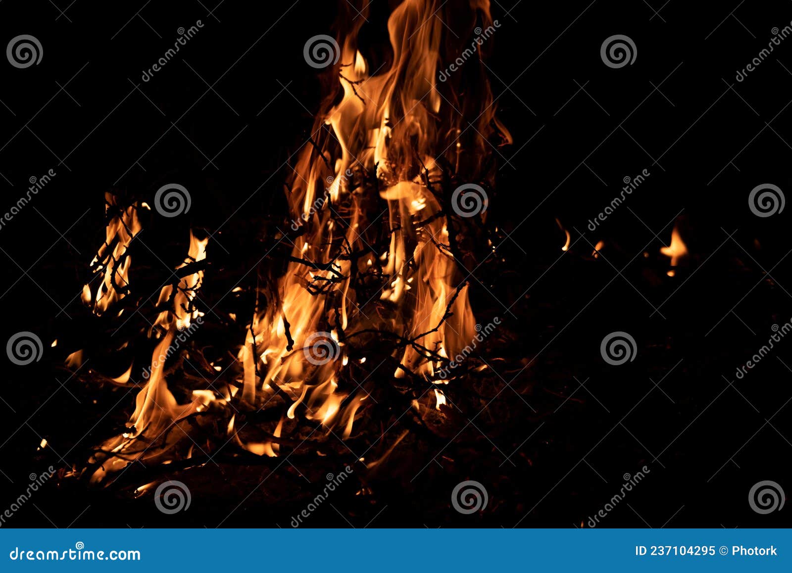 A Fire is Burning at Night. Fine Branches on Fire Stock Image - Image ...