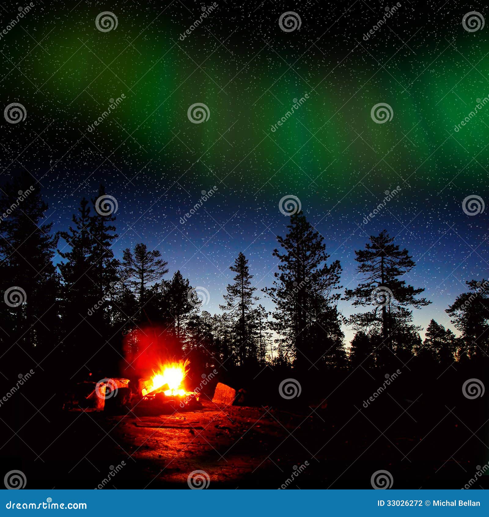Fire Burning at Night in a Forest Stock Photo - Image of northern ...