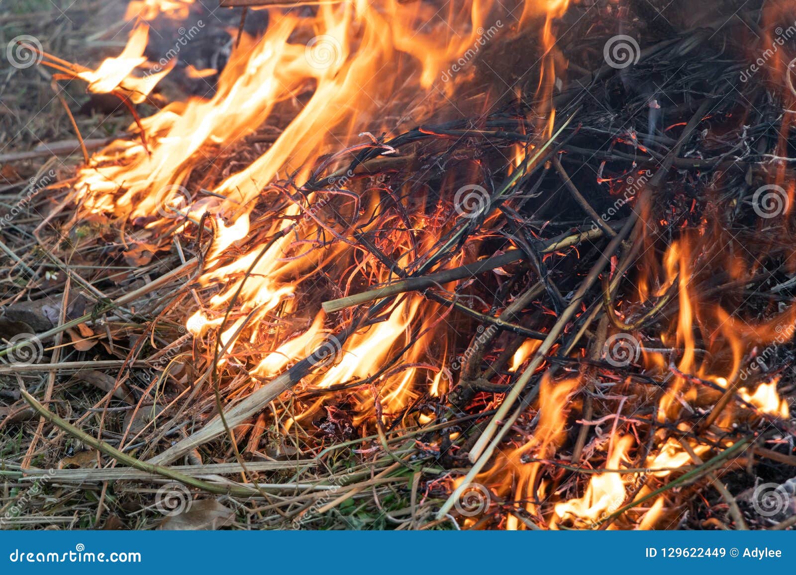 Fire Burning Old Grass in the Field Stock Image - Image of cleaning ...