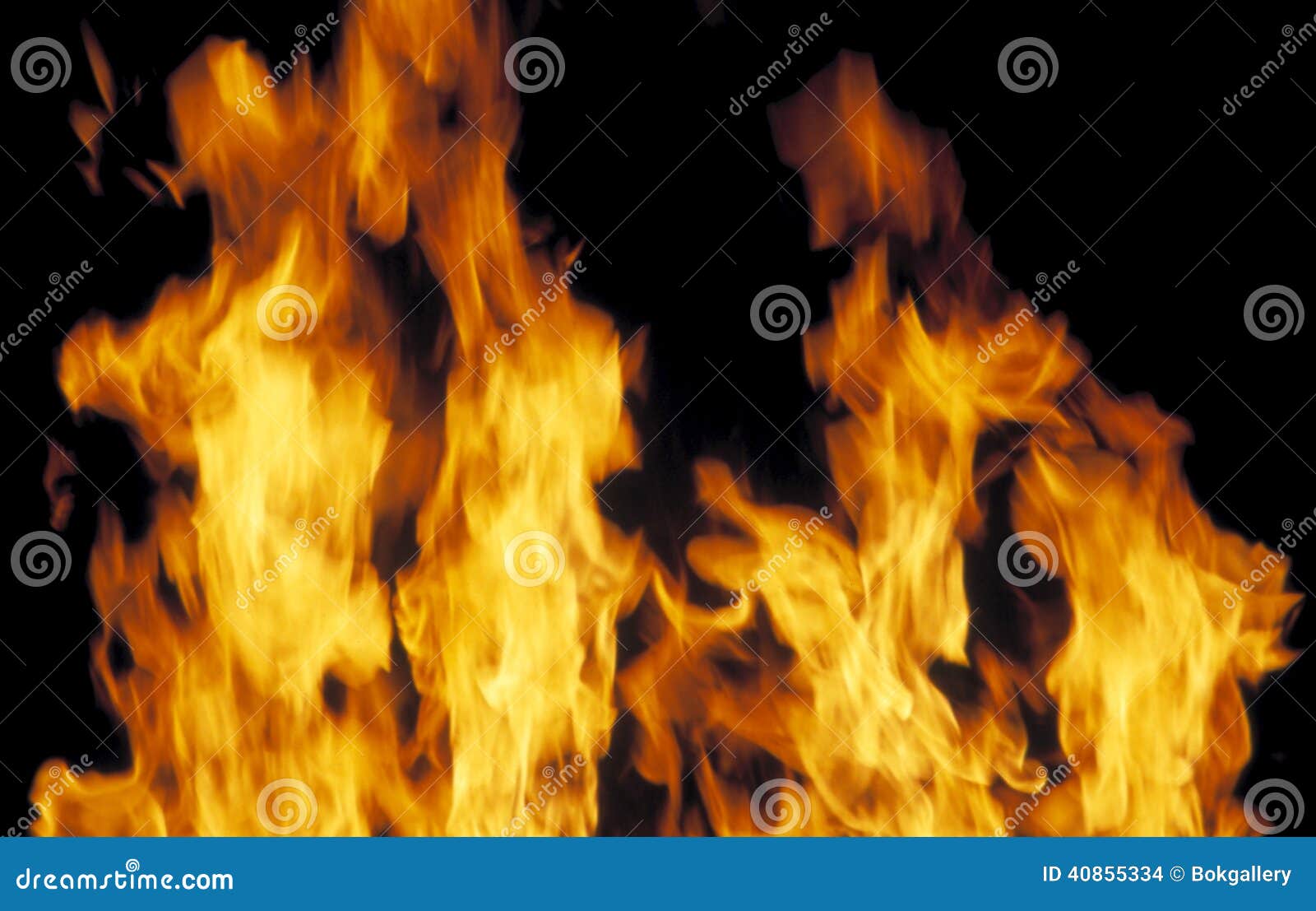 Fire Burning stock photo. Image of indoor, burning, flame - 40855334