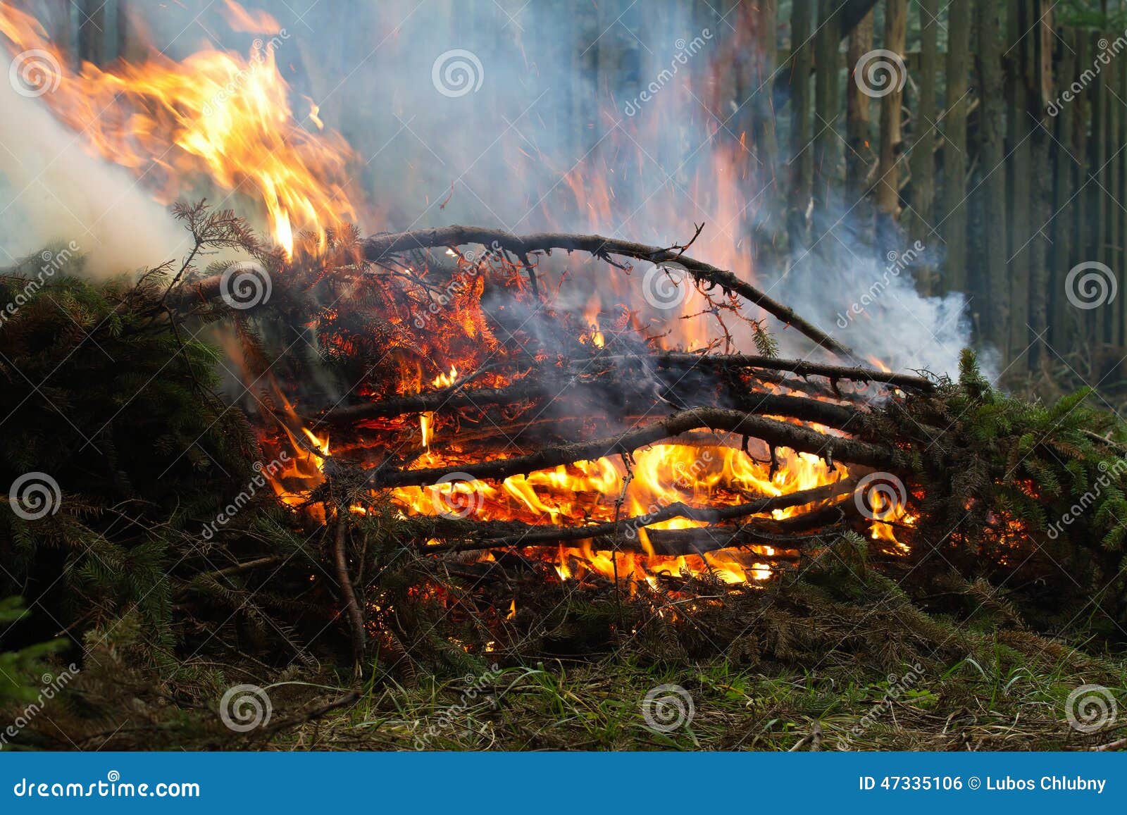 Fire stock photo. Image of bonfire, danger, burnt, spruce - 47335106