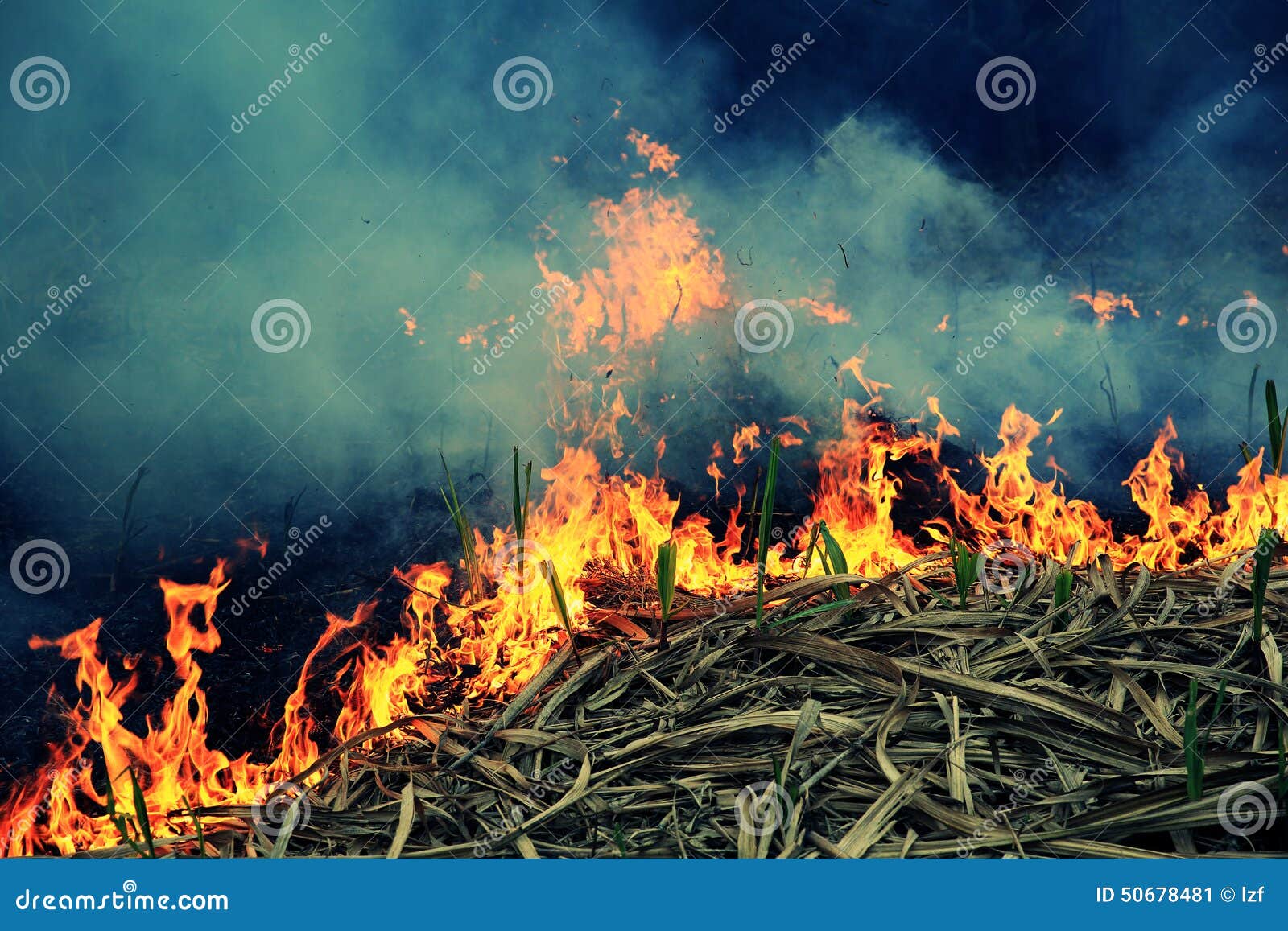 Fire stock image. Image of flame, light, bright, kraurotic - 50678481