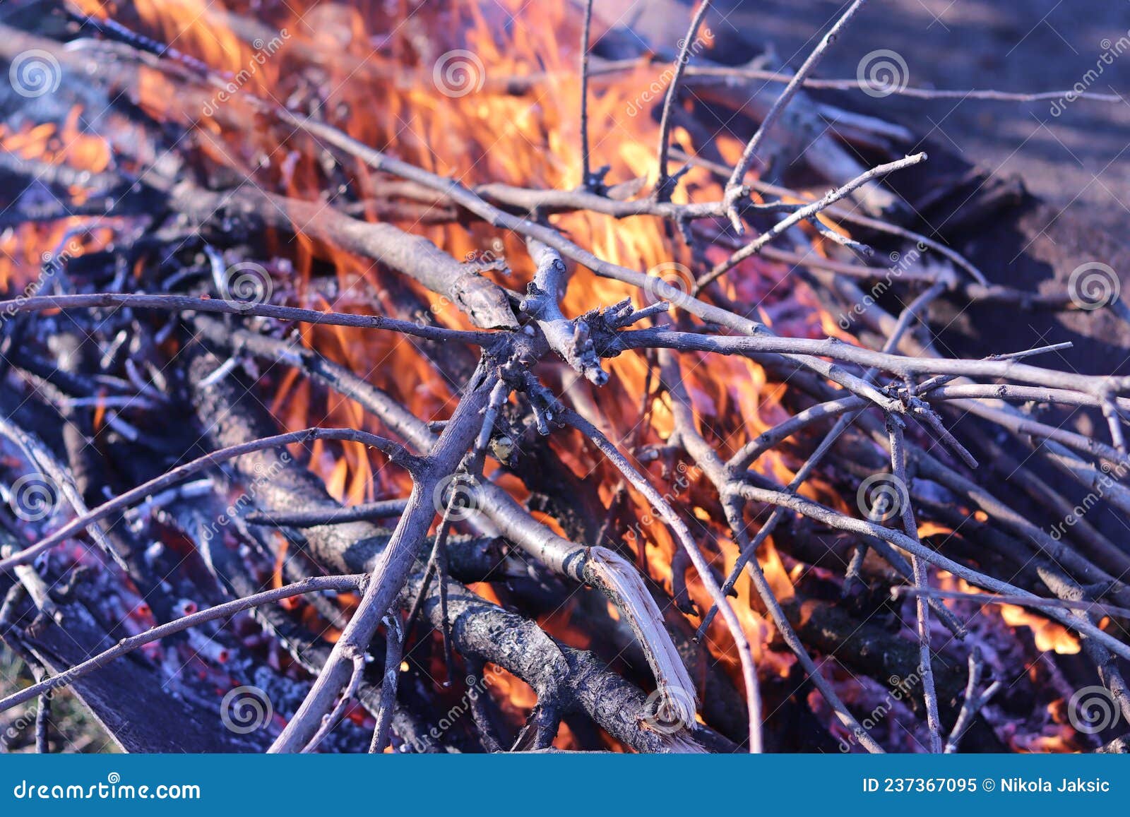 A Fire is Burning in a Tin Trough Stock Image - Image of iron, wildlife ...