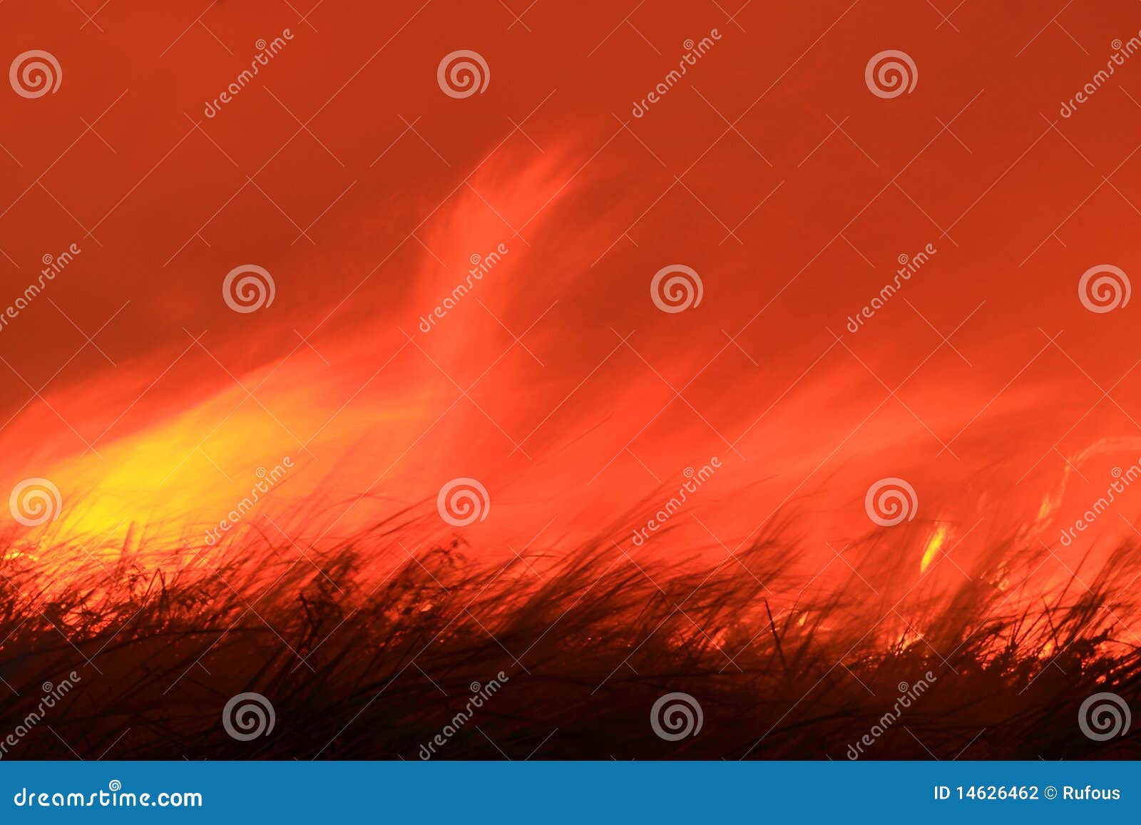 Fire Burning Wild through Bushland Stock Photo - Image of destruction ...